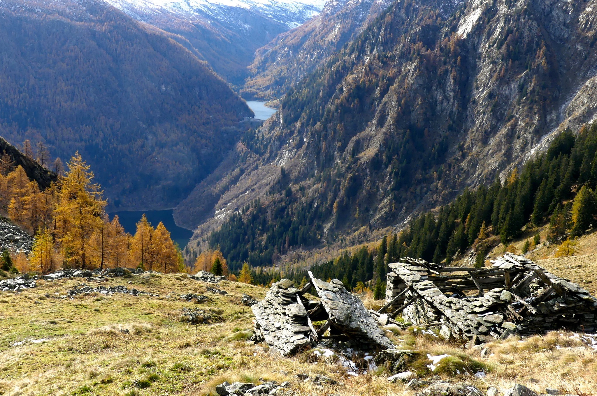 Panorami inaspettati: dal Lago di Cheggio all'Alpe Forcola